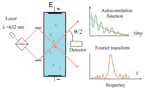 Electric Fields At The Lipid Membrane Interface