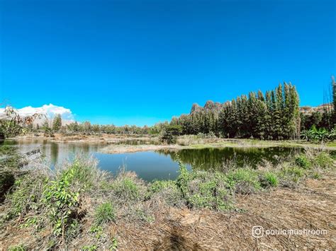 รูป เขาอีบิด