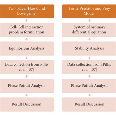Flow Chart Of The Methodology For Mathematical Modeling Of Leukemia