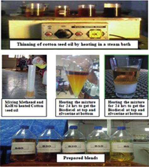 Cotton Oil Extraction Process Download Scientific Diagram