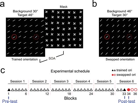 Figure 1 From Feature Variability Determines Specificity And Transfer In Multiorientation