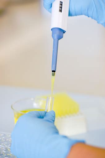 자동 파이펫으로 화학 실험실에서 일하는 과학자 파란색 장갑을 착용 Stem 주제에 대한 스톡 사진 및 기타 이미지 Stem 주제 과학 과학자 Istock