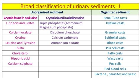 Solution Urine Microscope Urinalysis Studypool