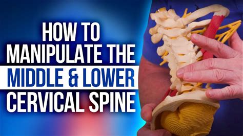 How To Manipulate The Middle And Lower Cervical Spine Youtube