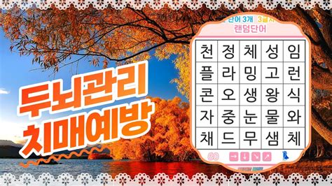 건강한 삶을 위한 두뇌 운동 숨은단어찾기 치매예방 퀴즈 초성퀴즈 단어퀴즈 두뇌운동 뇌건강 치매테스트 기억력 집중력 강화 재밌는 퀴즈 Youtube