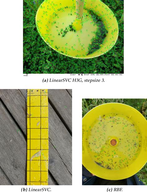 Figure A3 From Detection Of Pests In Agriculture Using Machine Learning Semantic Scholar