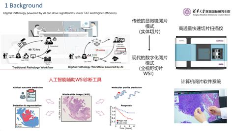 论文解读 Cvpr2024：知识感知注意力的动态图表示用于组织病理学全幻灯片图像分析 Csdn博客