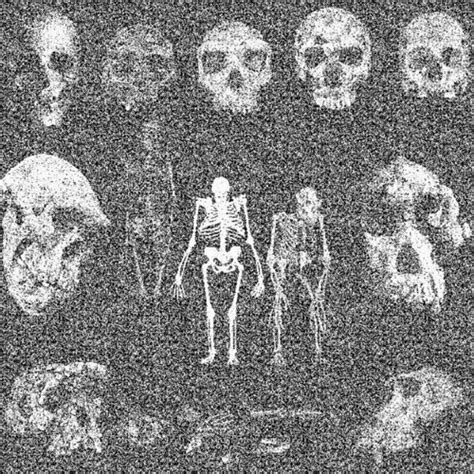 Stream March Of The Homo Erectus By Ramapithecus Listen Online For