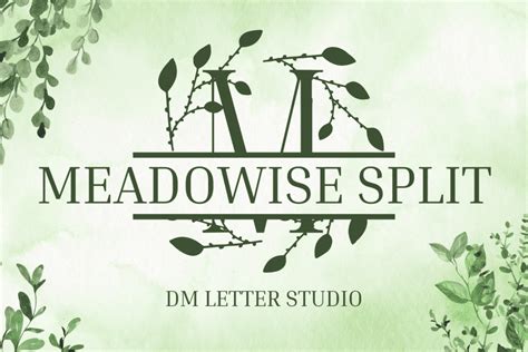 1 Free Split Script Font · 1001 Fonts