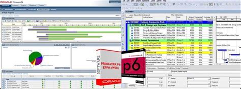 Oracle Primavera P6 Vs Professional Compass Consult