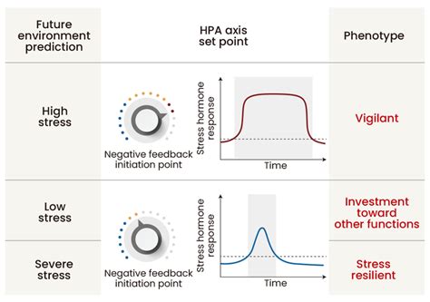 Adaptation To A Predicted Future Environment Via Hpa Axis Download