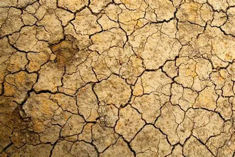 Soil Particle Testing Standards