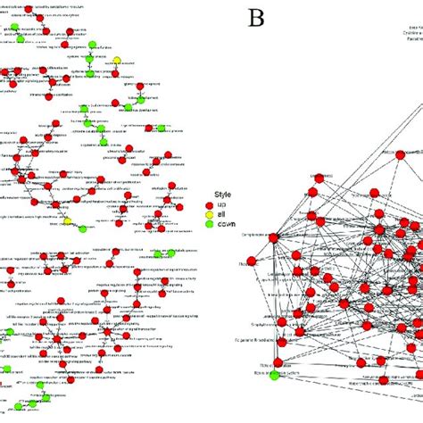 The Go Trees And The Pathway Act Network A Hierarchical Tree Diagram