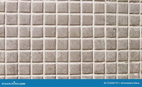 Ipe Cladding On The Interior Wall And White Ceiling Diagonal Line Empty Space For Text Royalty