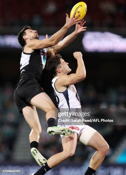 260 Sam Mayes Photos And High Res Pictures Getty Images