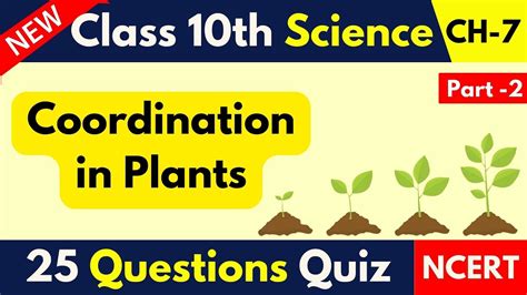 Control And Coordination Class 10 Science Quiz Coordination In