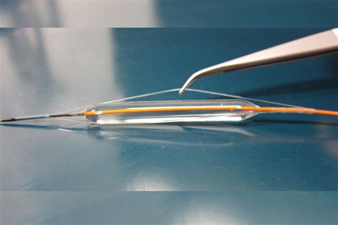 Nse™ Pta Peripheral Scoring Balloon Catheter Nipro Nse Pta Peripheral Scoring Balloon Catheter