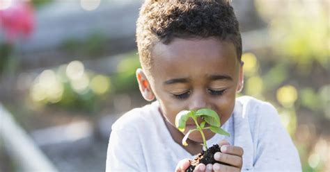 Vancomycin Preparing A Liquid Formulation