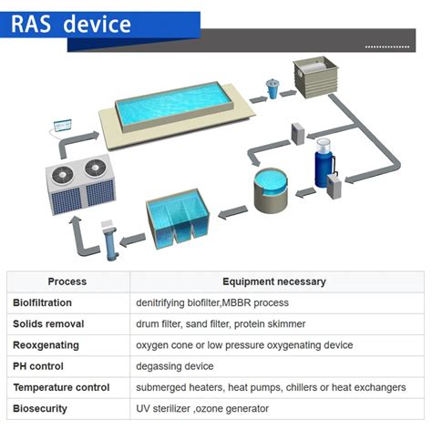 New Ras System Shrimp Culture Systemaquaculture Farming Equipmentras Full Setup Buy Ras New Ras System Shrimp Culture Systemaquaculture Farming Equipmentras Full Setup Buy Ras