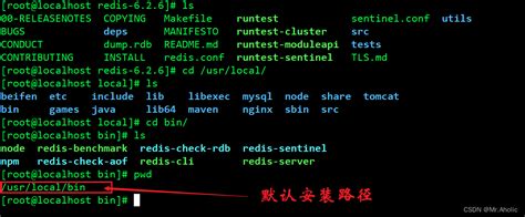 Redis 入门到实战 二Redis安装 阿里云开发者社区