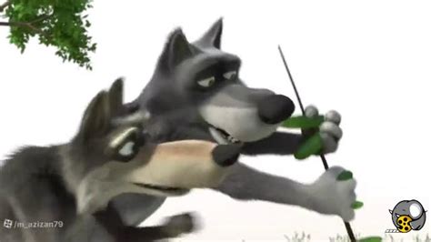 ماشا و خرس قوانين رانندگی فیلو