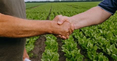 Деякі українці не платитимуть податок на землю кого це стосується