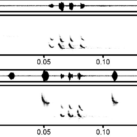 Power Spectrum Oscillogram And Spectrogram Of Social Calls Of Type D Download Scientific