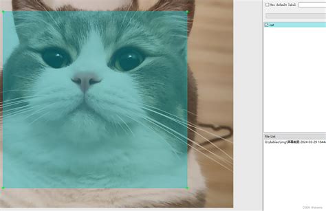 labelimg：数据集打标工具的安装与使用指南 csdn博客