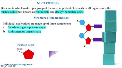Nucleotide