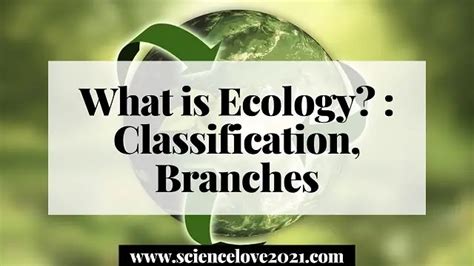 What Is Ecology Classification Branches ~ Sciences World