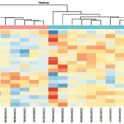 hierarchical clustering dendrogram of gene expression a total of 19