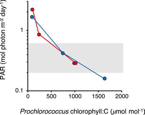 Estimated Chlorophyllc Ratios Of Prochlorococcus Cells In The Lower Download Scientific