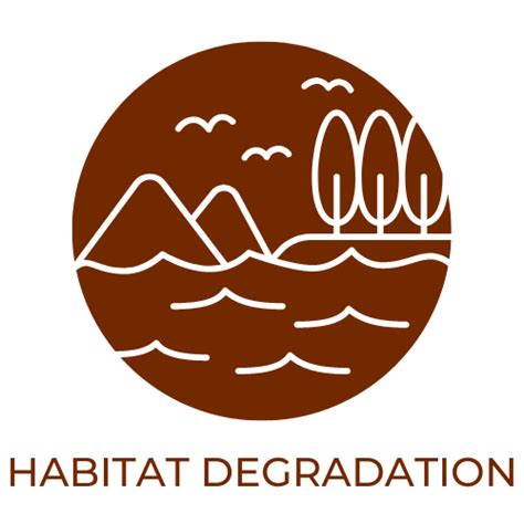 Long Term Nest Monitoring Hawkwatch International