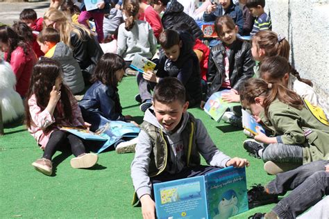 მწვანე სკოლა დიღმის მწვანე სკოლა დიღმის მასივი