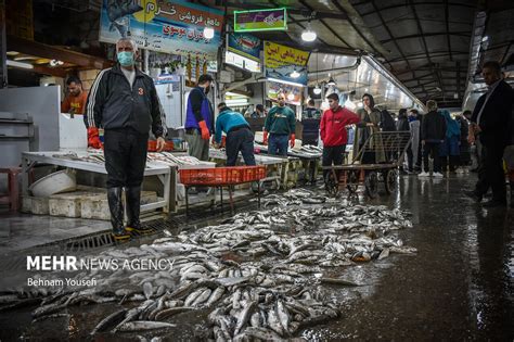 برپایی نمایشگاه عرضه مستقیم ماهی شب عید از ۱۸ تا ۲۸ اسفند خبرگزاری