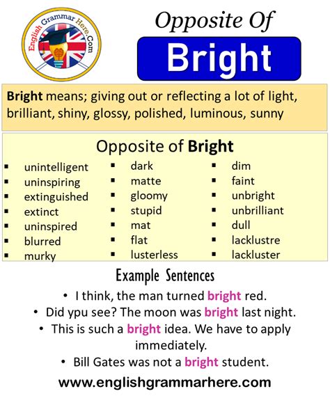 opposite of introvert antonyms of introvert meaning and example