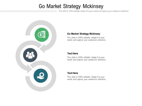 Go Market Strategy Mckinsey Ppt Powerpoint Presentation Outline Example
