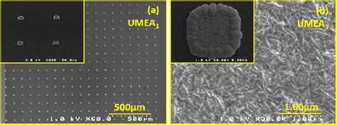 Figure 1 From High Temporal Resolution Electrochemical Biosensor Using Nitrogen Incorporated