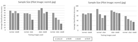 The Sample Sizes Used For Speckle Pattern Image Sampling And Their