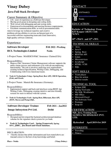 Vinay Dubey Java Developer Resume Pdf Software Java Programming Language