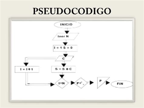 Desarrollo Tecnologico Taller Lógica Y Diagramación