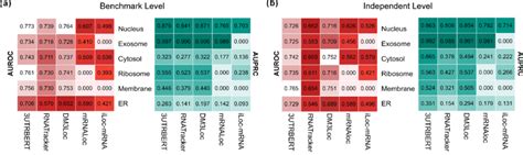 A Comparison Of Prediction Performance Between 3utrbert And Other Download Scientific Diagram