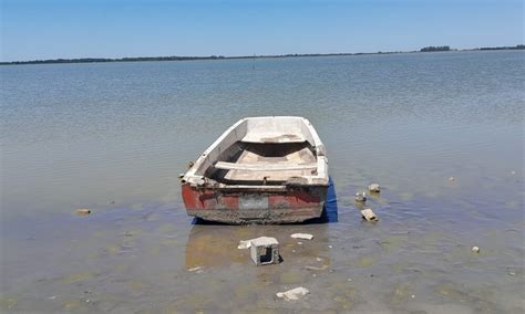 Mapa De Cianobacterias Cómo Está El Agua En Las Lagunas Bonaerenses