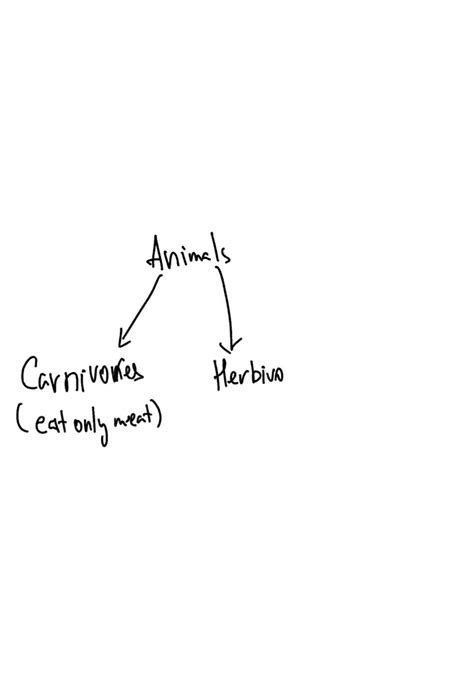 Solved How Will You Classify The Following Animals According To Their Food Type