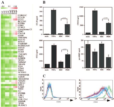 Gene Expression Analysis Of Huvec After Contact With Prbc A Rna Was