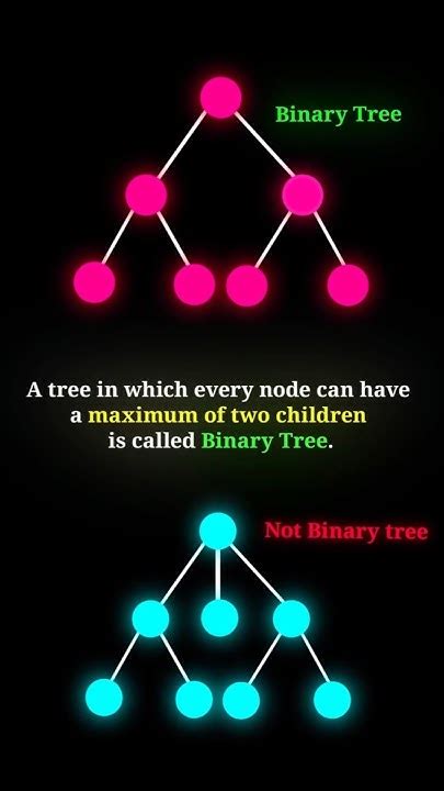 Binary Tree And Non Binary Tree Visualizationcoding Programming Dsa Shorts Trending Youtube