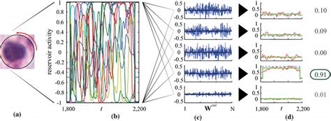 proposed rotation invariant multi class esn training scheme