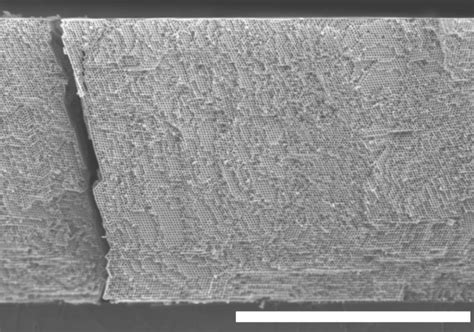 Sem Of A Cleaved Cross Section Of A 255 Nm Zno Inverted Opal Structure Download Scientific