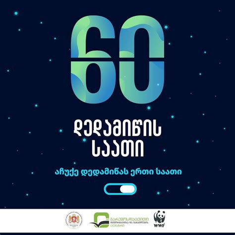 25 მარტს „დედამიწის საათი“ აღინიშნა Bpn