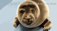 Linux Nvidia GIF Linux Nvidia Linux User Discover Share GIFs